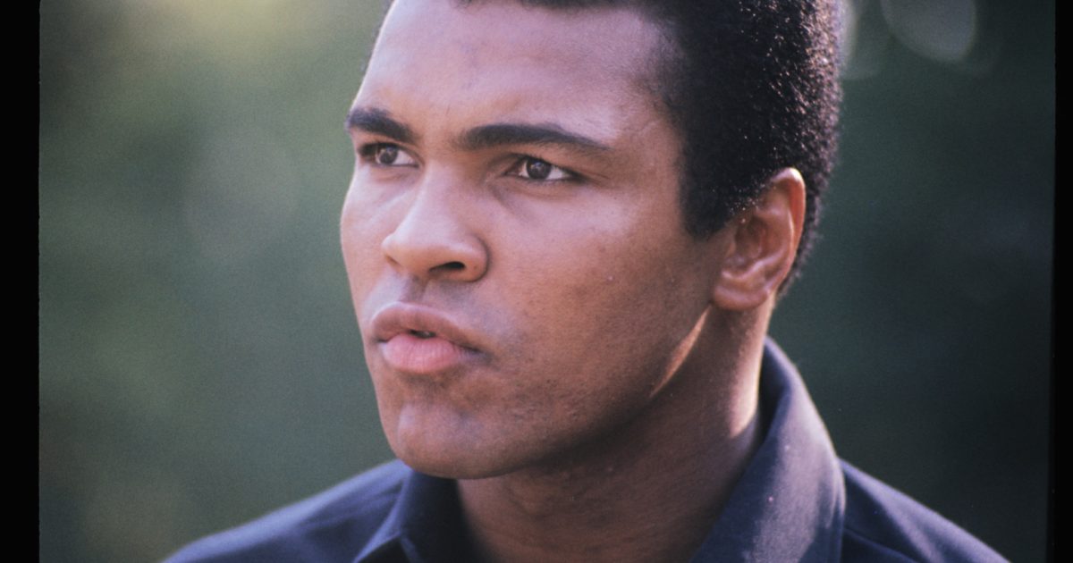 why black docs ruled the tribeca film festival | AFROPUNK