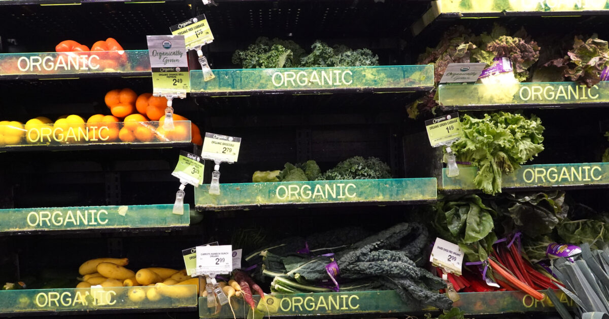 Navigating Food Apartheids | AFROPUNK